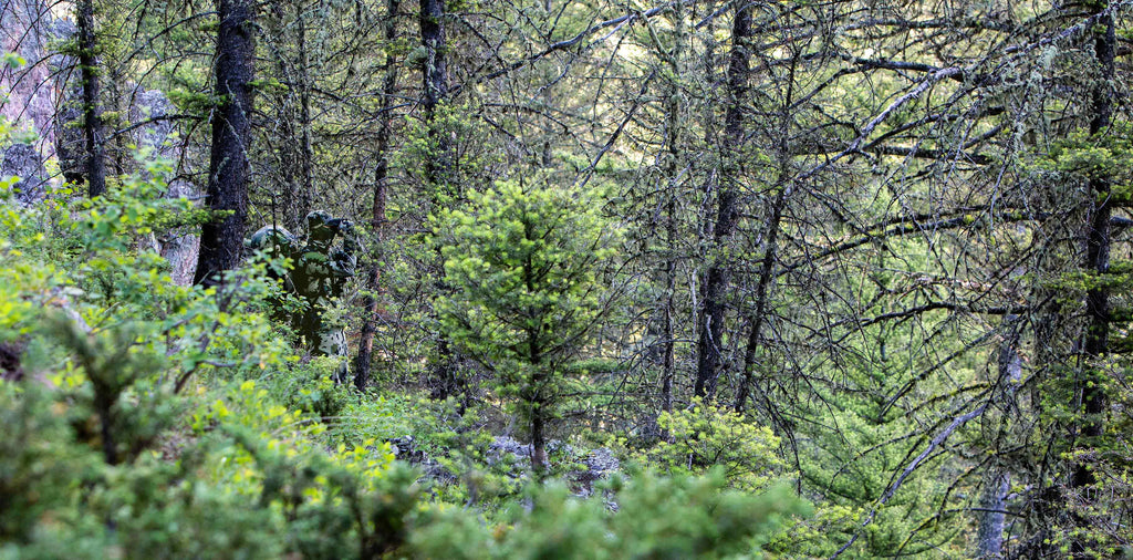 Verde Camo Patterns for the Hunt | KUIU